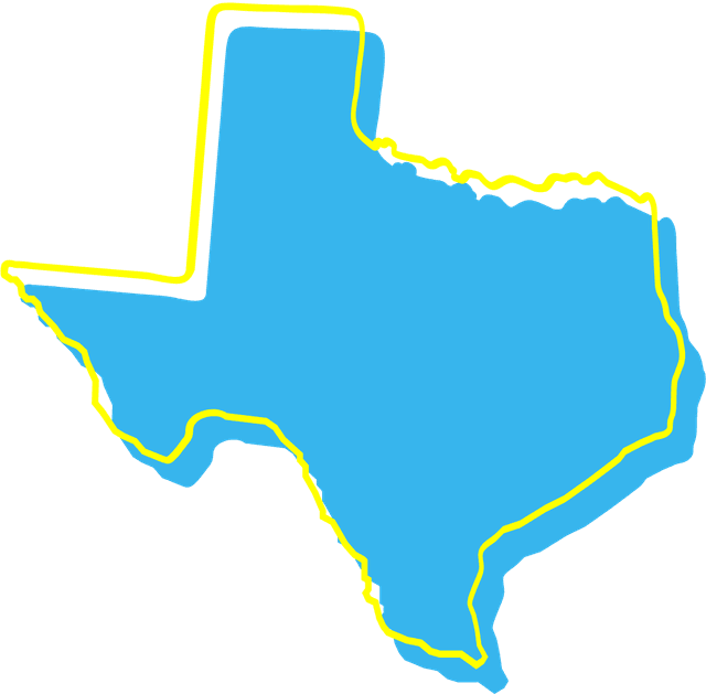 Texas General Election Voting Guide 2024 — NextGen America